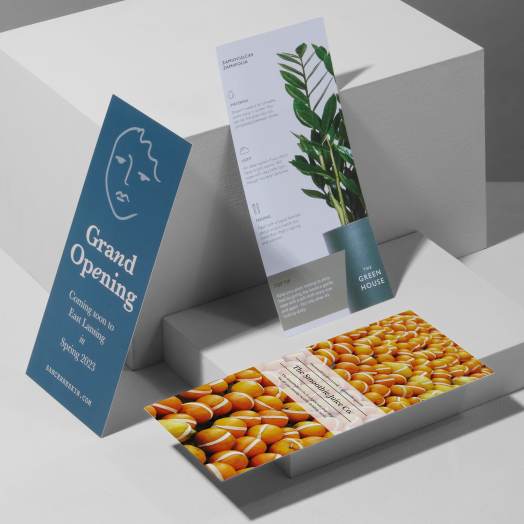 Design & Print Long Flyers Online | MOO US