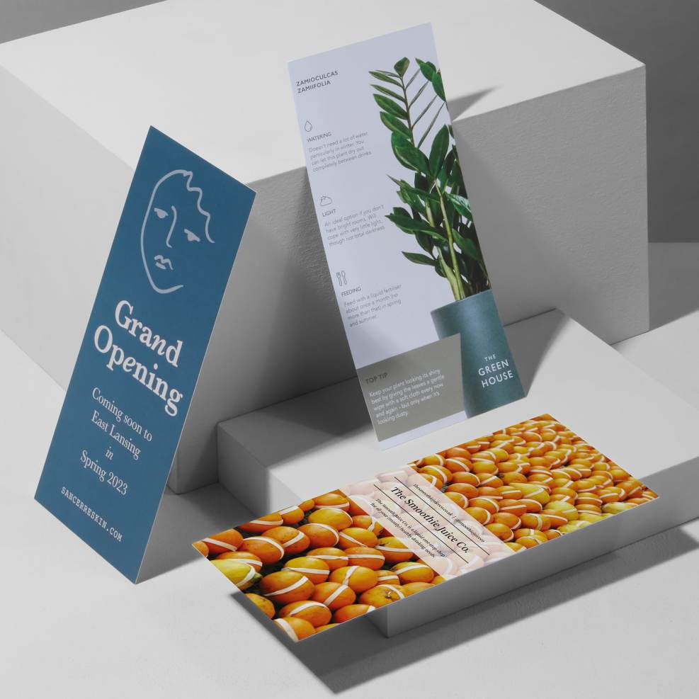 Design & Print Long Flyers Online