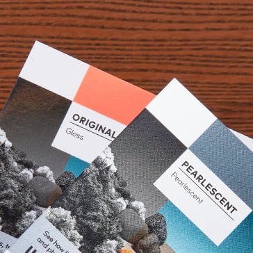 MOO Sample Pack | Free Stickers, Flyers & So Much More | MOO US